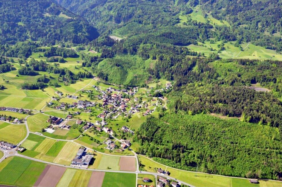 Nenzing - Beschling auf volare, dem Vorarlberger Landesrepositorium