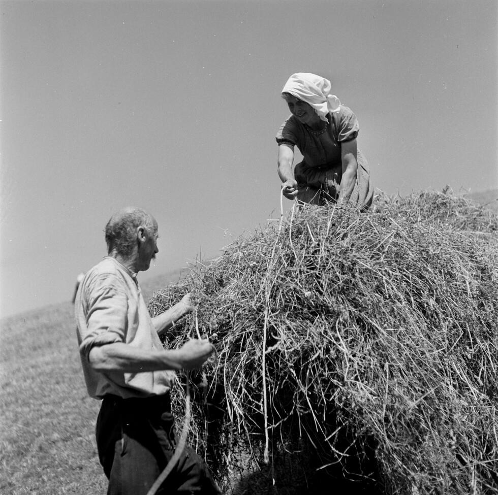Bauern beim Heuen auf volare, dem Vorarlberger Landesrepositorium