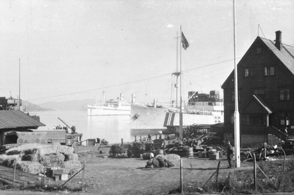 2. Gebirgs-Division, Gebirgsjäger-Regiment 136 - Eismeerfront auf ...